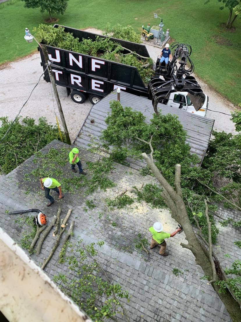JNF Tree Service | 618 . 541 . 8494